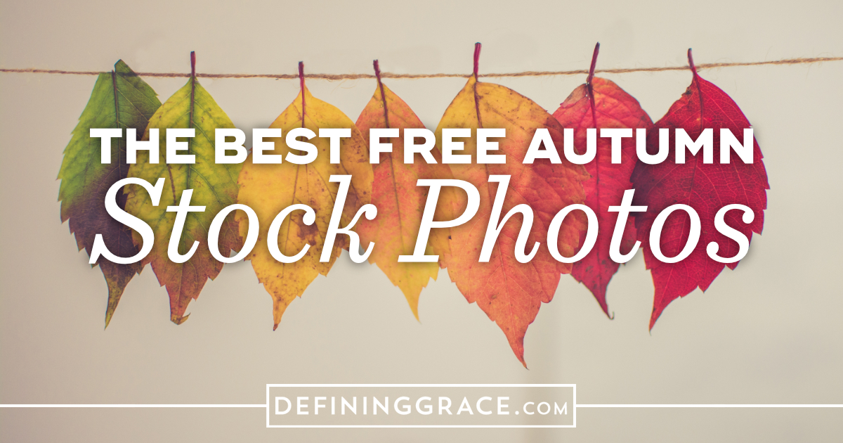 The Best Free Autumn and Fall Stock Photos - Defining Grace